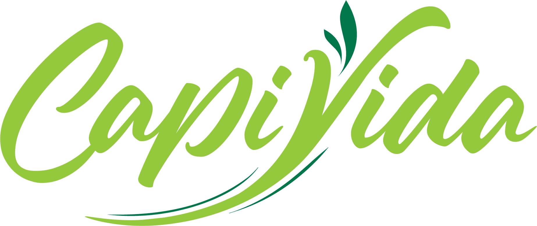 Flora - J&F Investimentos